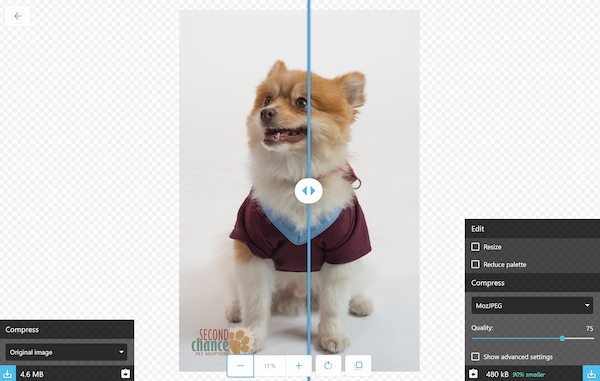 Free Image Compression Tool - 5 Step Guide to Squoosh